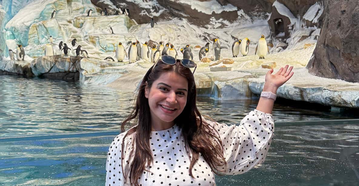 Abu Dhabi: SeaWorld Entry Ticket with Free Shuttle | GetYourGuide