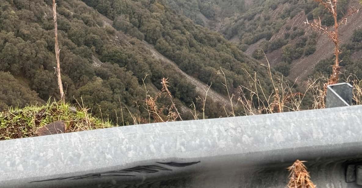 Paphos - Troodos mountains: To the highest peaks. | GetYourGuide