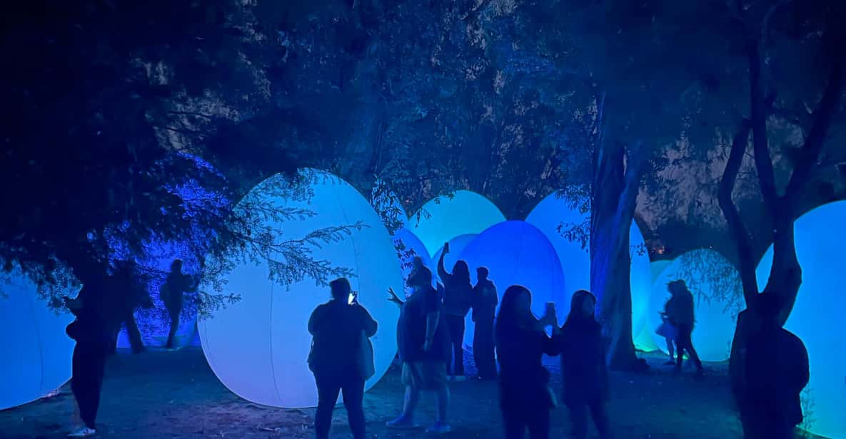 Osaka: teamLab Botanical Garden Entry Ticket | GetYourGuide