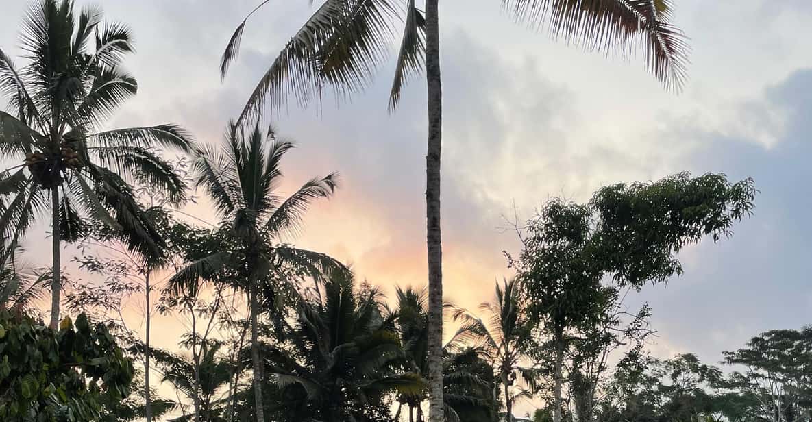 From Ubud: Evening Firefly Tour in Taro Village | GetYourGuide