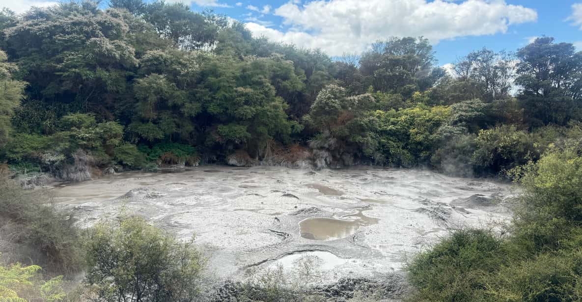 奥克兰：怀托摩洞穴与罗托鲁瓦 - Te Puia 小团游 | GetYourGuide