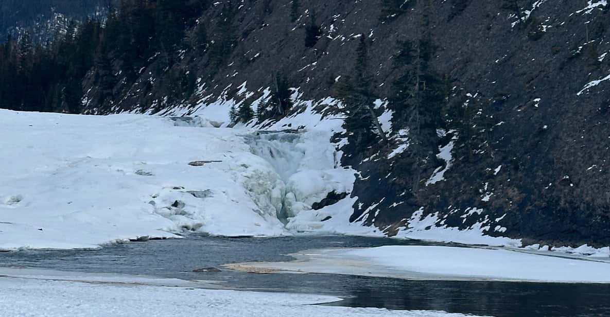 Banff: Wildlife and Sightseeing Minibus Tour | GetYourGuide