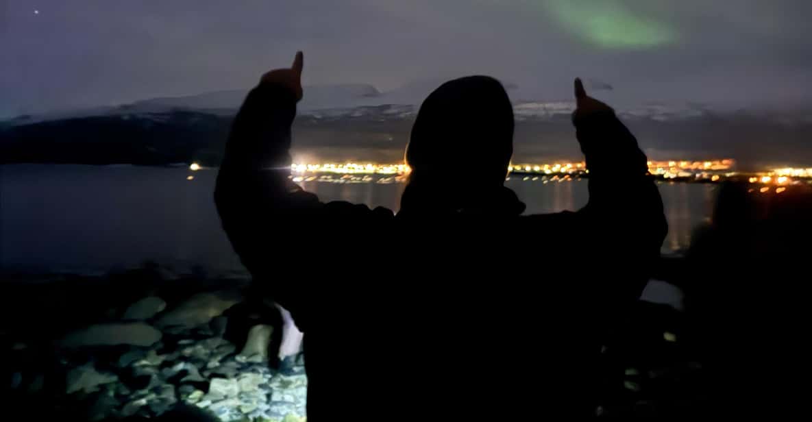 Tromso: Northern Lights Minibus Tour with Campfire | GetYourGuide