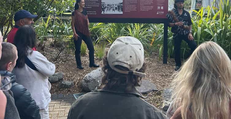 Te Puia: Te Pō Indigenous Evening Experience - Haka + Dinner | GetYourGuide