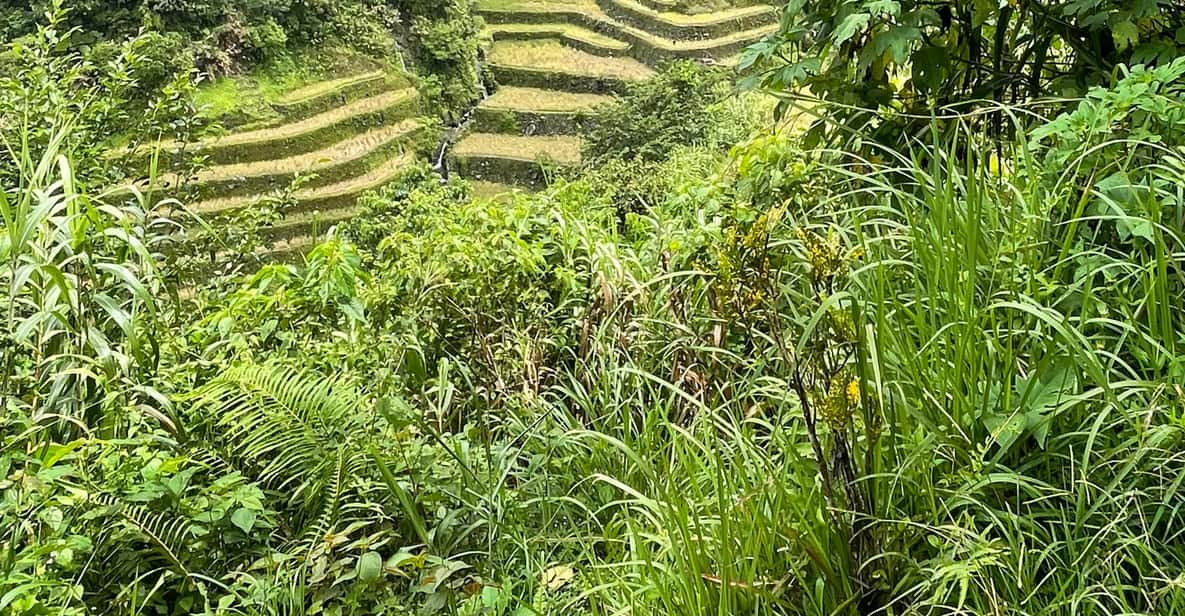 From Manila: 4-Day Sagada and Banaue Rice Terraces Tour | GetYourGuide