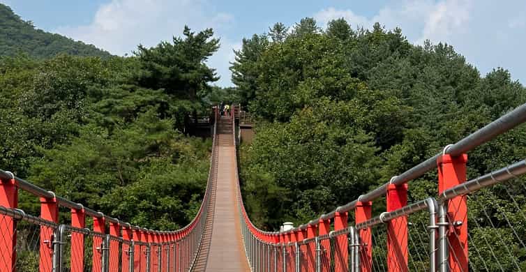 DMZ Insider Tour: 3rd Tunnel, NK Defector Meet & Red Bridge | GetYourGuide