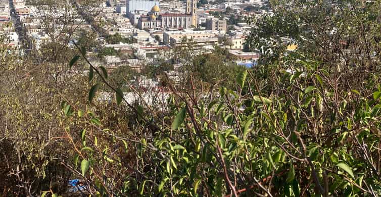 Mazatlan: City Tour in a Traditional "Pulmonia" Open-Air Car | GetYourGuide