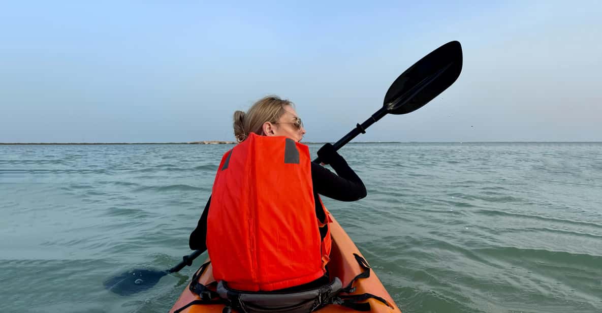 From Doha: Mangroves Kayaking Adventure | GetYourGuide