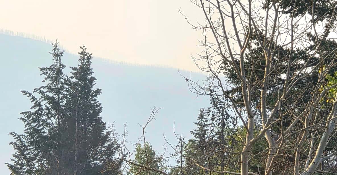 Jasper: Maligne Valley Wildlife & Spirit Island Cruise | GetYourGuide