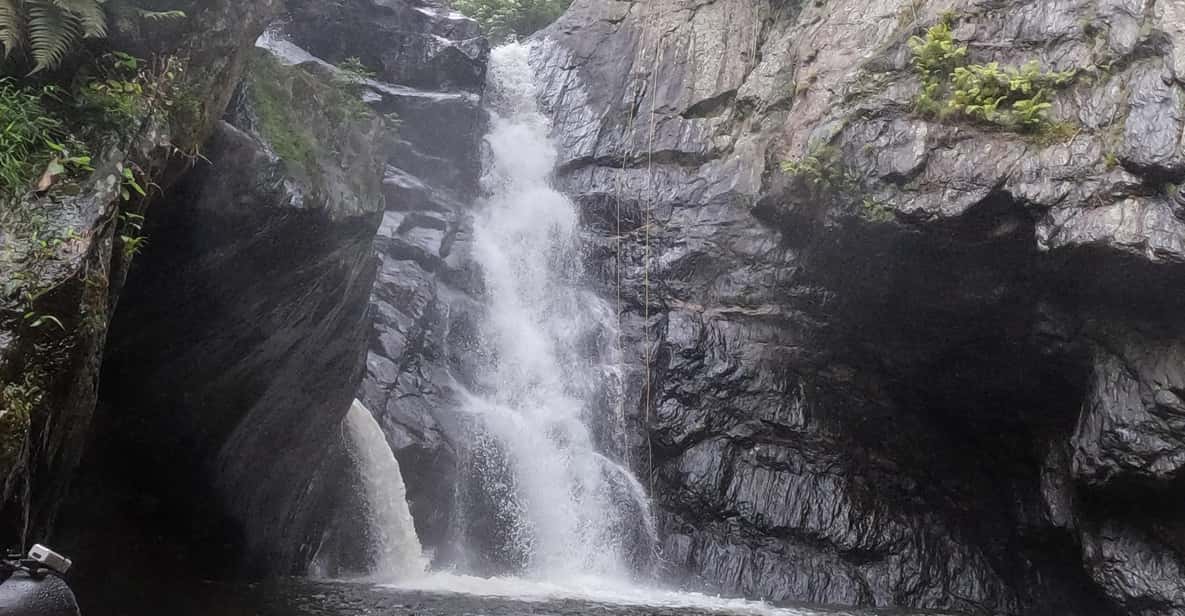 Cairns: Behana Gorge Rainforest Canyoning Tour | GetYourGuide