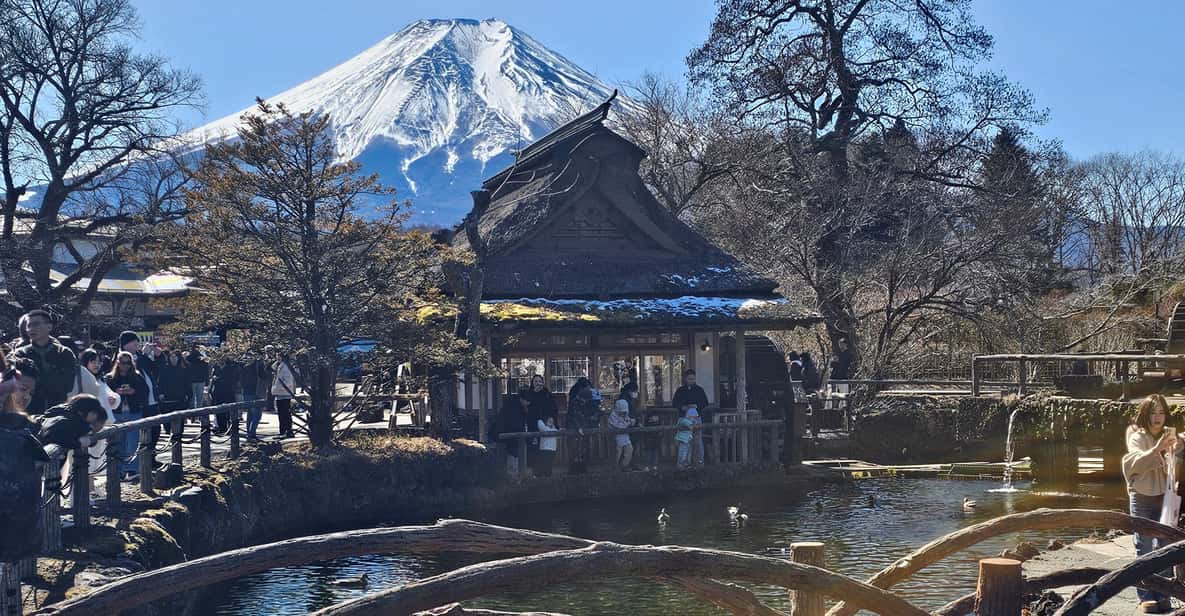 Tokio: excursión de un día al monte Fuji, Kamakura, el Gran Buda y el ...