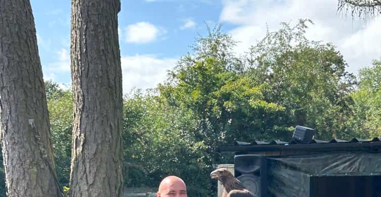 York: York Bird of Prey Centre Entry Ticket | GetYourGuide