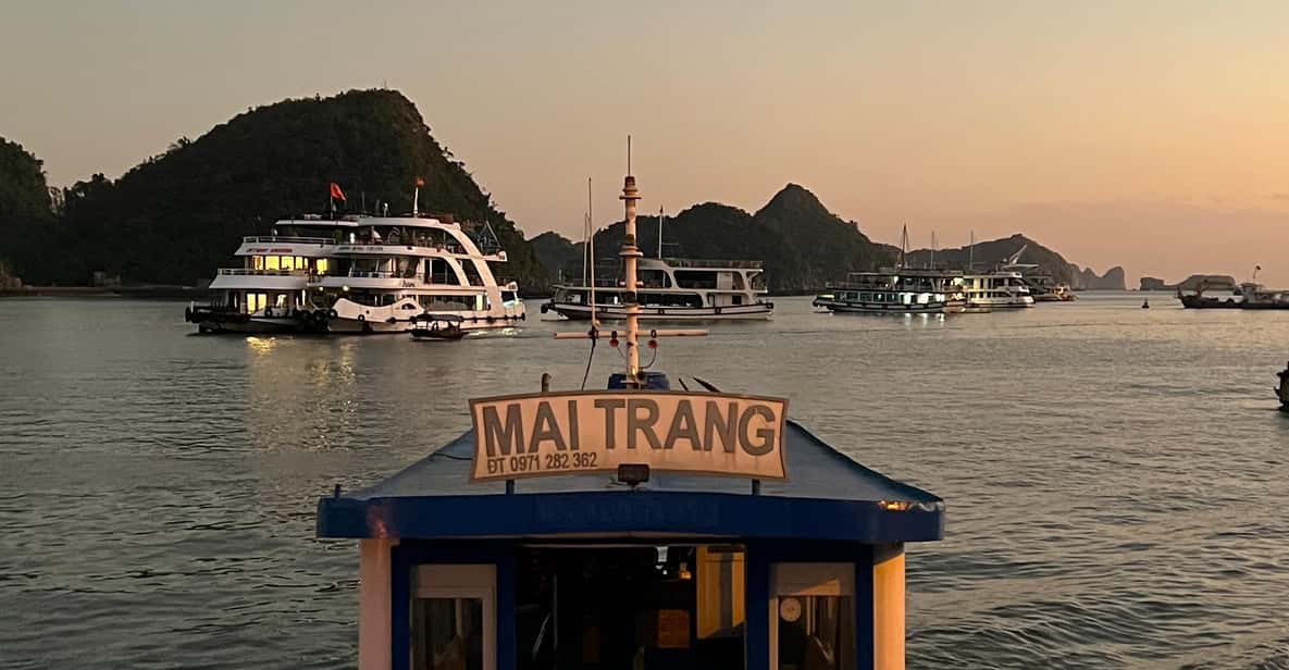 Cat Ba Island: Lan Ha Bay Fishing Tour with local fishermen | GetYourGuide