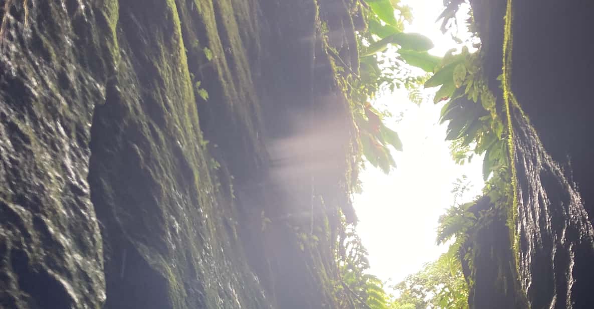 Roseau: Titou Gorge, Hot Spring, Falls & Champagne Reef Tour | GetYourGuide