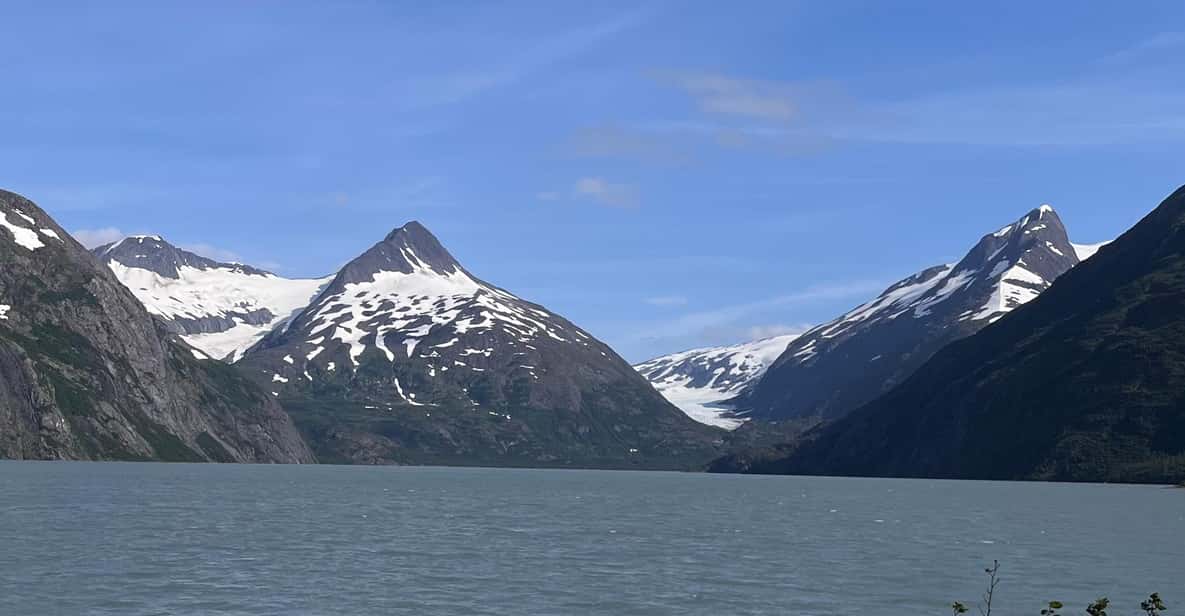 From Anchorage: Alaska Wildlife Center & Turnagain Arm Tour | GetYourGuide