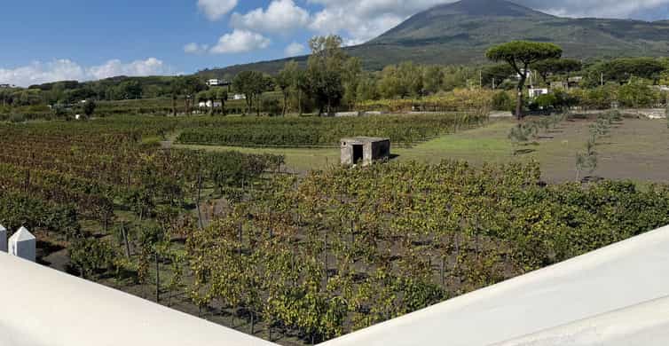 Mount Vesuvius: Vineyard Tour with Wine Tasting and Lunch | GetYourGuide