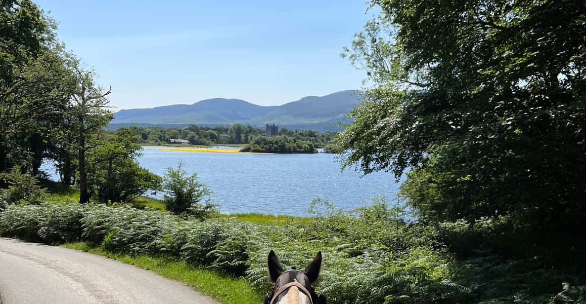 基拉尼：1 小时 Jaunting Car 马车之旅 | GetYourGuide