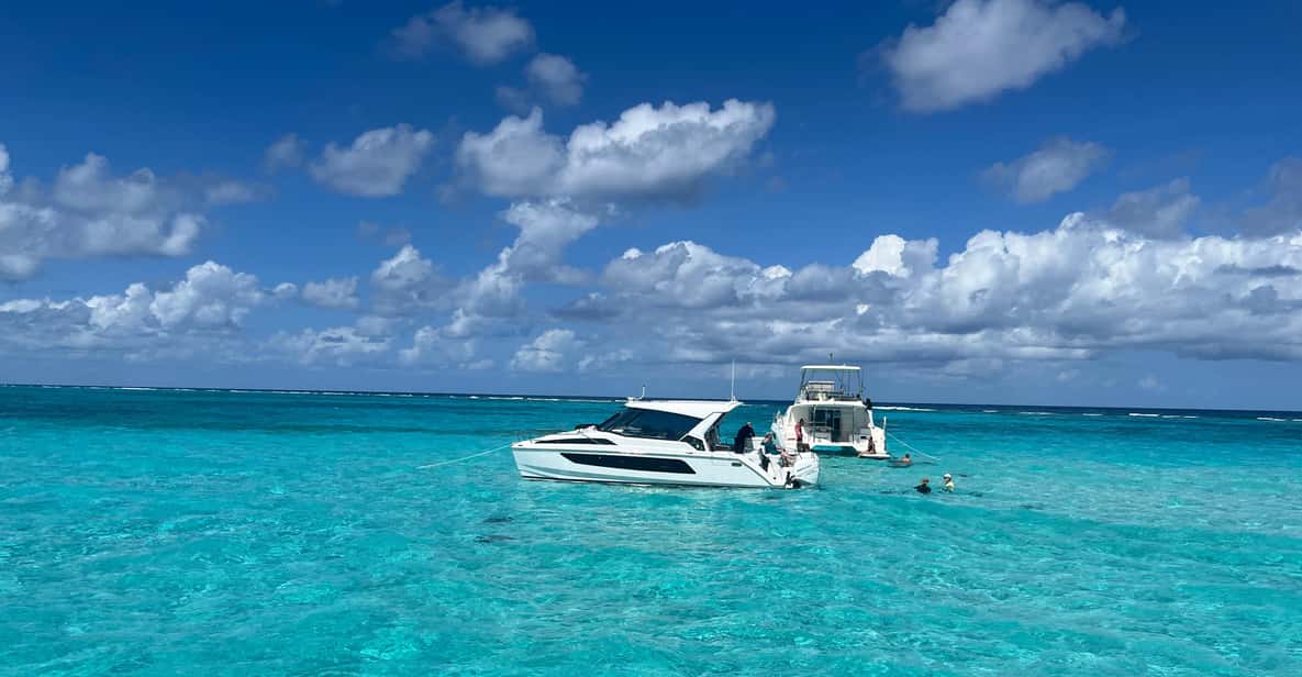 Grand Cayman: Catamaran Cruise with Stingray City & Snorkel | GetYourGuide