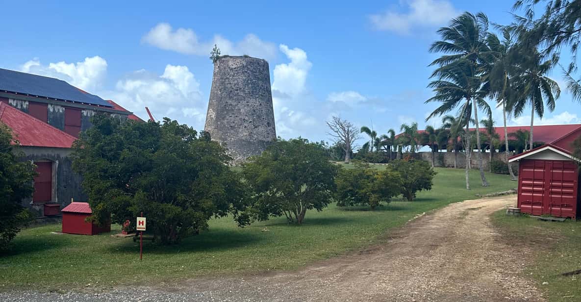 Monkey Feeding & Historic Sugar Plantation & Rum Distillery | GetYourGuide