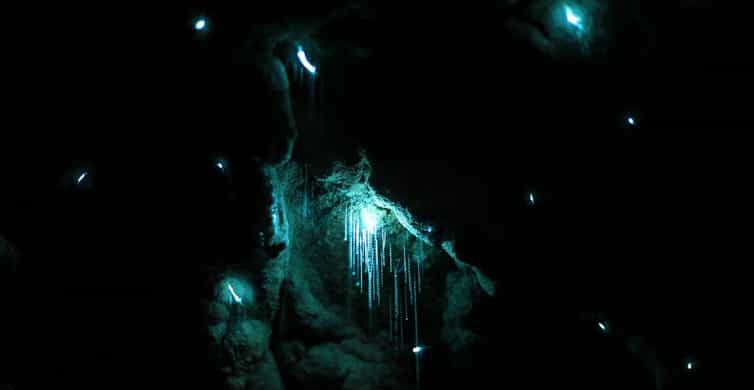 Waitomo Caves: Labyrinth Black Water Rafting Experience | GetYourGuide