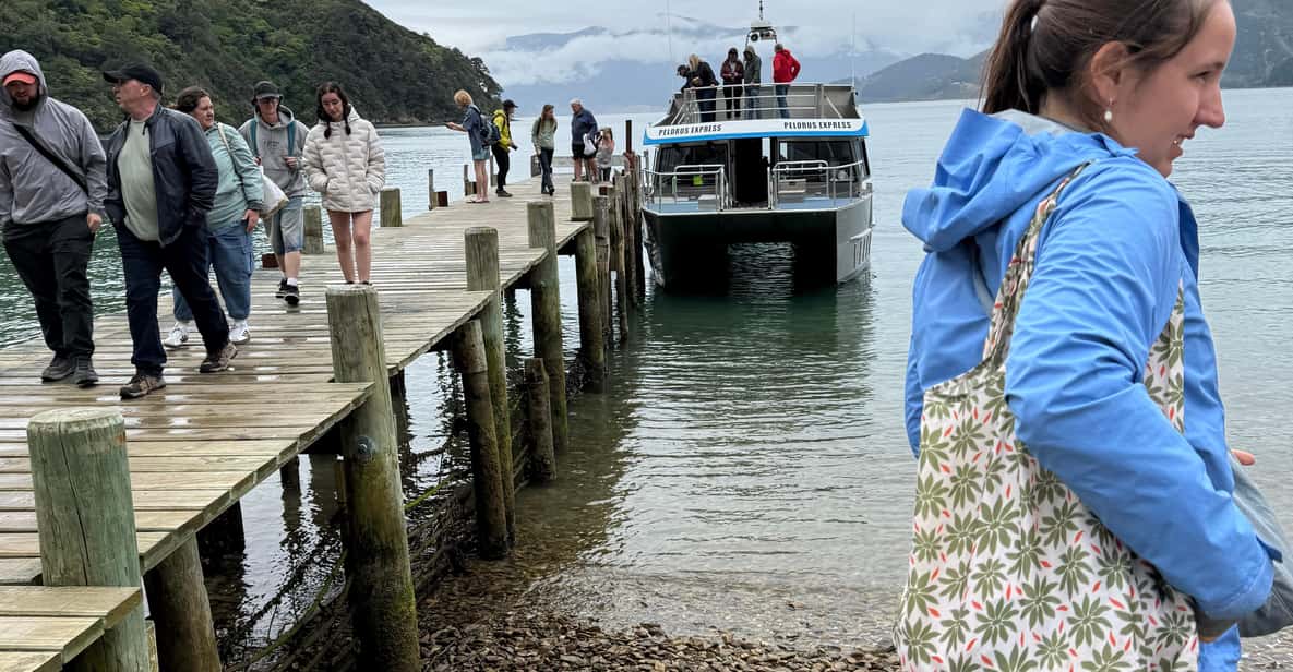From Havelock: Marlborough Sounds Mail Boat Full-Day Cruise | GetYourGuide