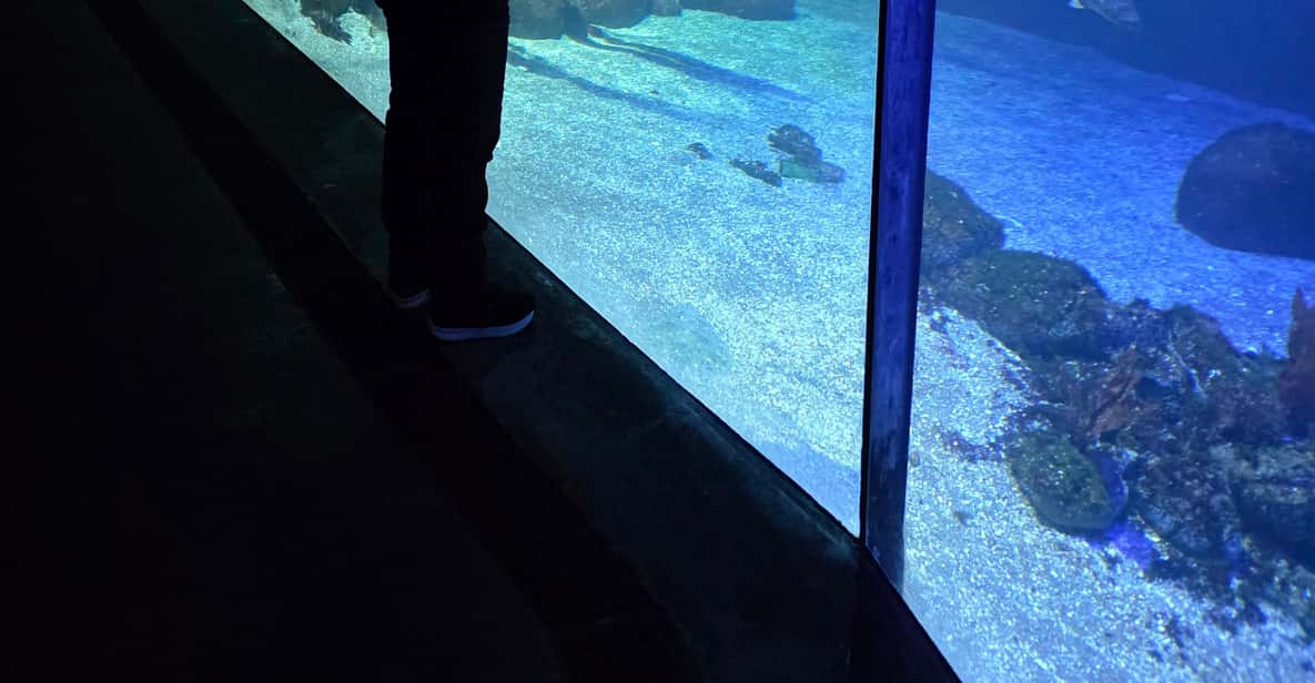 Gothenburg: Universeum Entry Ticket | GetYourGuide