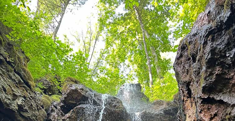 Foxfire Mountain: Hiking & Swinging Bridge Family Adventure | GetYourGuide