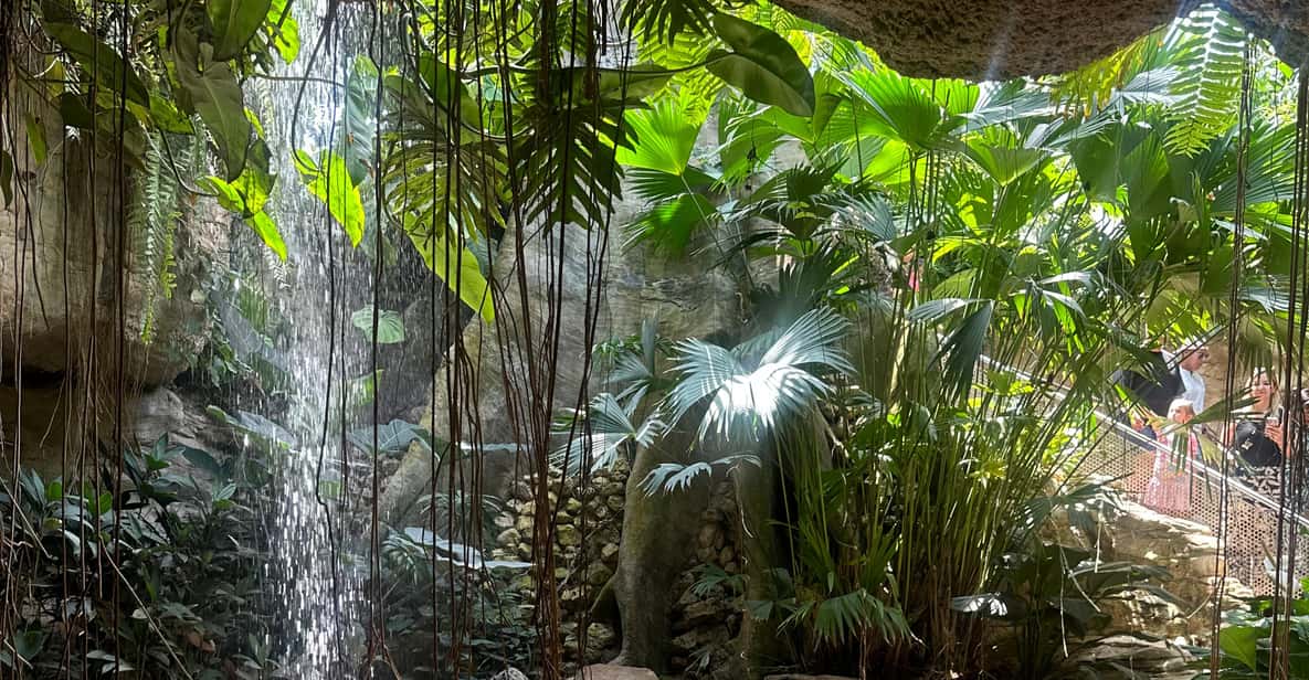 Houston Museum of Natural Science: Cockrell Butterfly Center | GetYourGuide