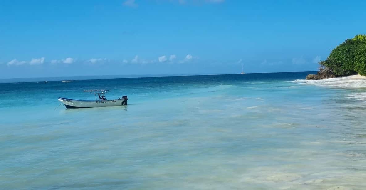 Punta Cana: Whale Watching and Bacardi Island Day Trip | GetYourGuide