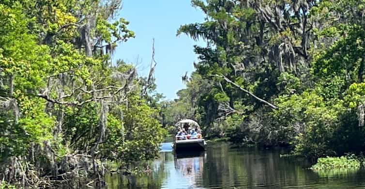 From Lafitte: Swamp Tours South of New Orleans by Airboat | GetYourGuide