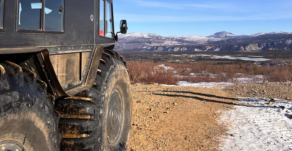 Denali National Park: Full-Day Fairbanks-Denali Adventure | GetYourGuide
