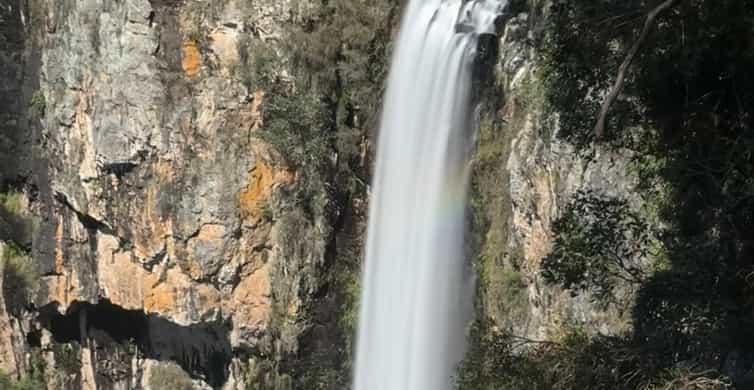 Gold Coast: Natural Bridge & Springbrook Waterfalls Tour | GetYourGuide