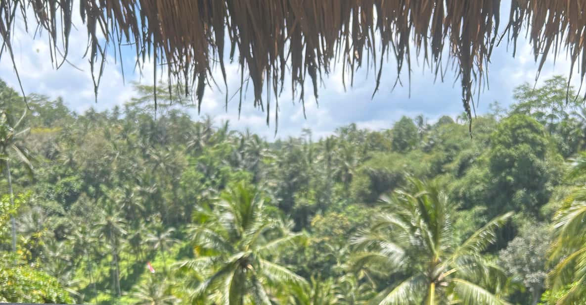 Ubud: Alas Harum Day-Pass, Swing, Sky Bike & Flying Fox | GetYourGuide