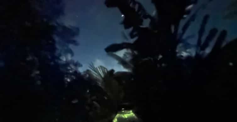 From Ubud: Evening Firefly Tour in Taro Village | GetYourGuide