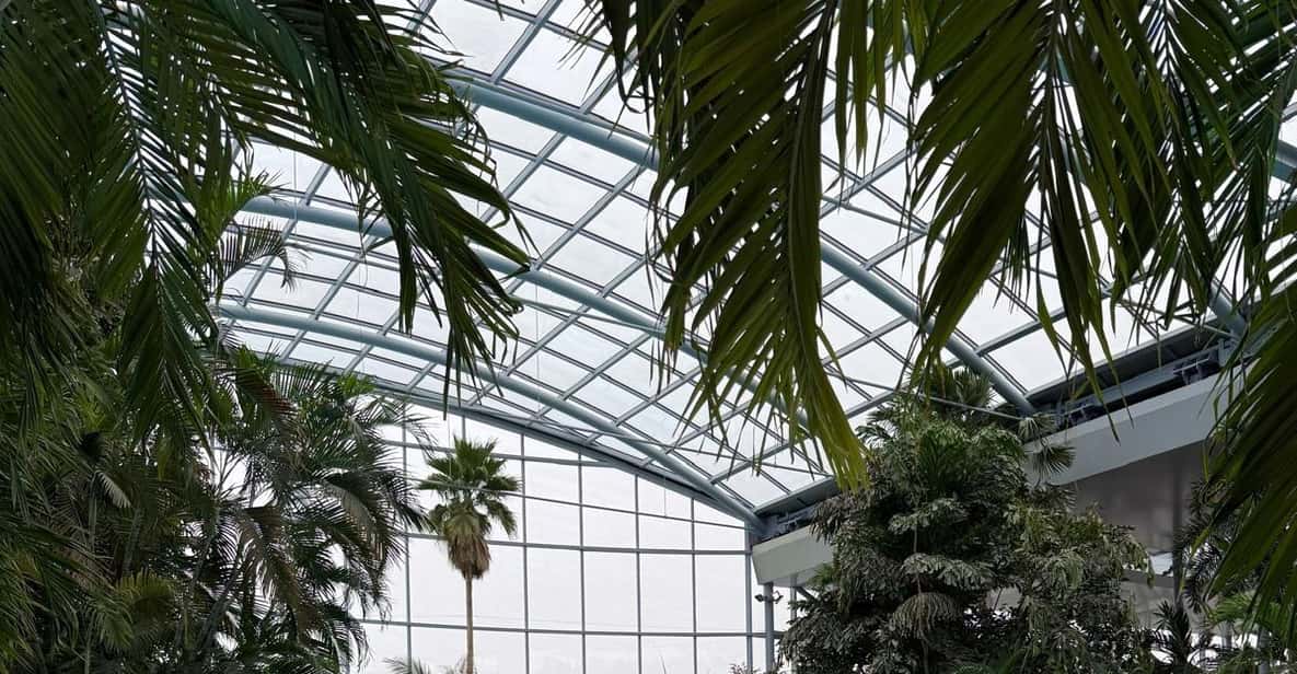 Therme: Wellness-Tag in der größten Oase der Entspannung 《Bukarest ...