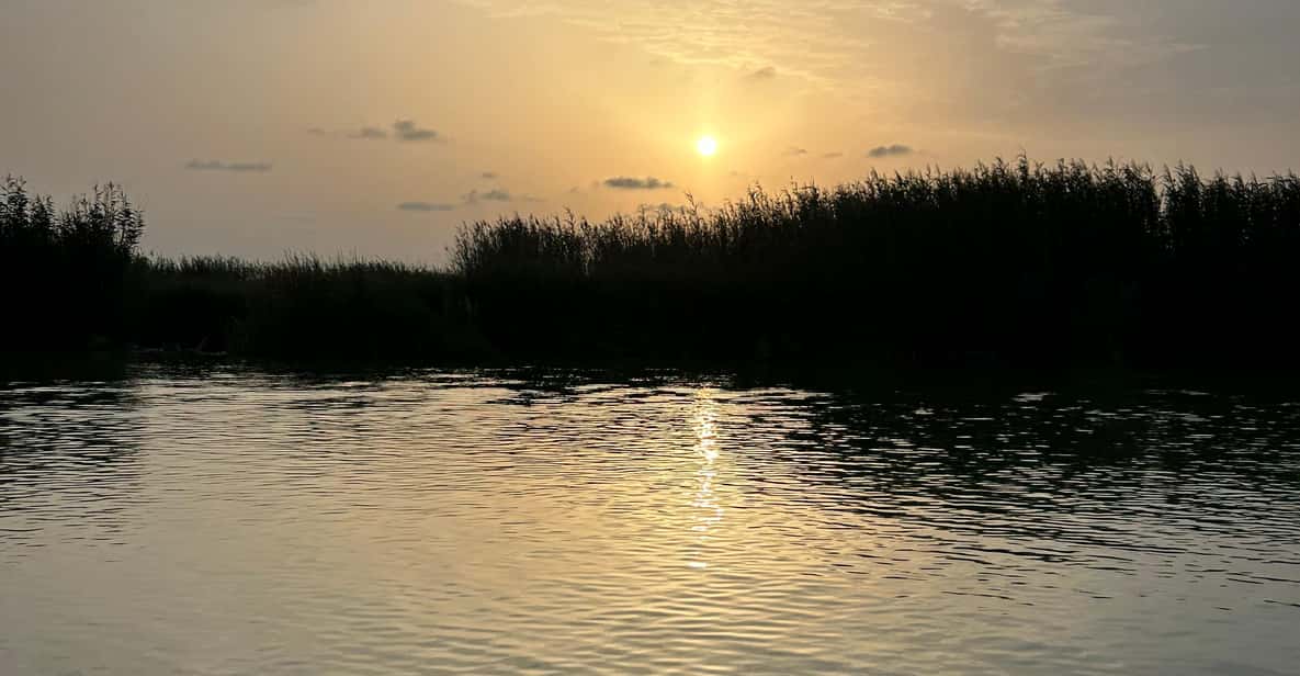 From Valencia: Official Albufera Tour with Boat & Barraca | GetYourGuide
