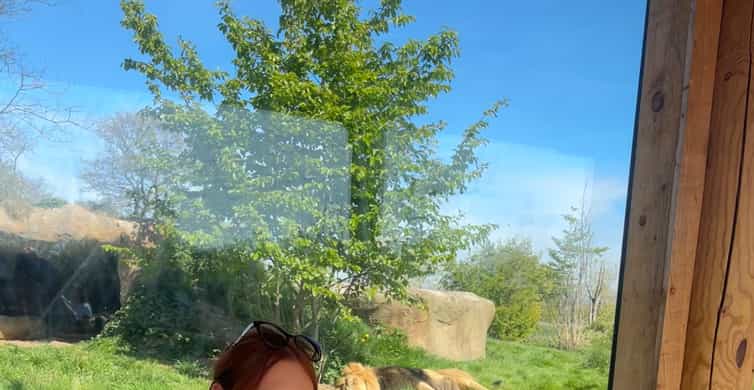 Chester: Chester Zoo Entry Ticket | GetYourGuide