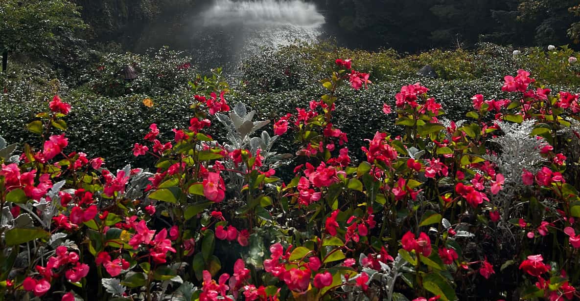From Vancouver: Butchart Gardens & Victoria Sightseeing Tour | GetYourGuide
