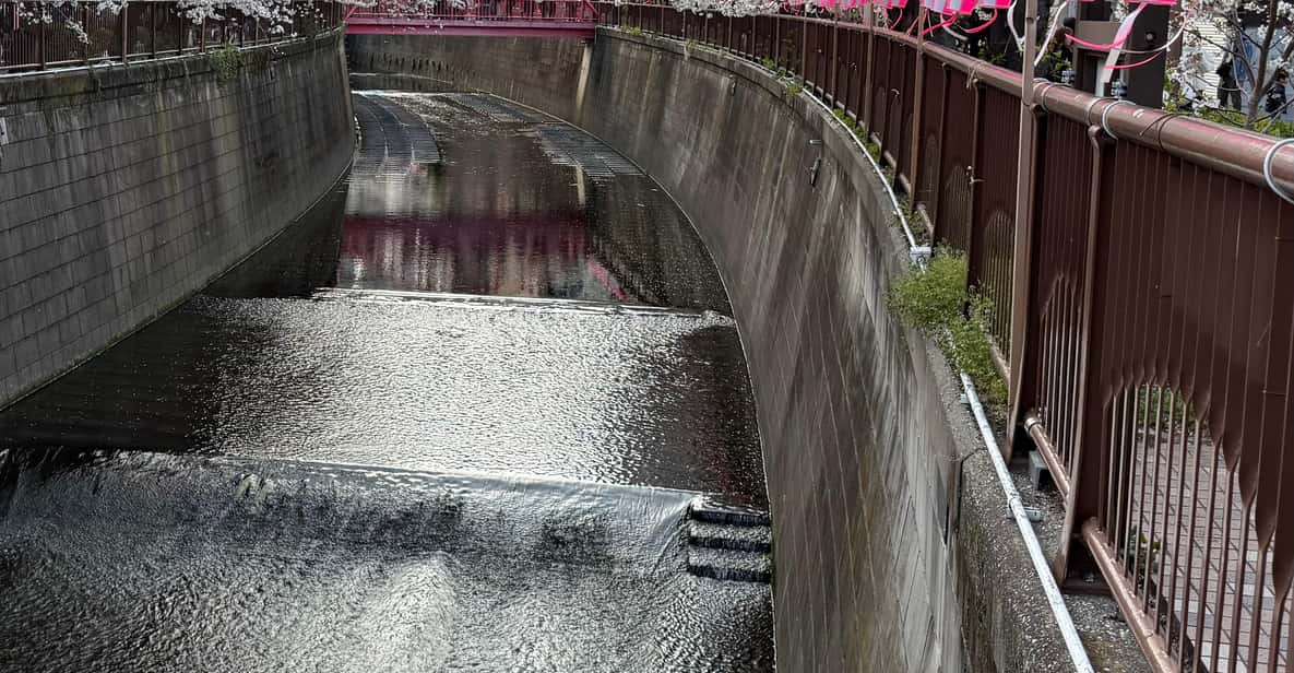 Tokyo: Privat oplevelse med kirsebærblomster | GetYourGuide