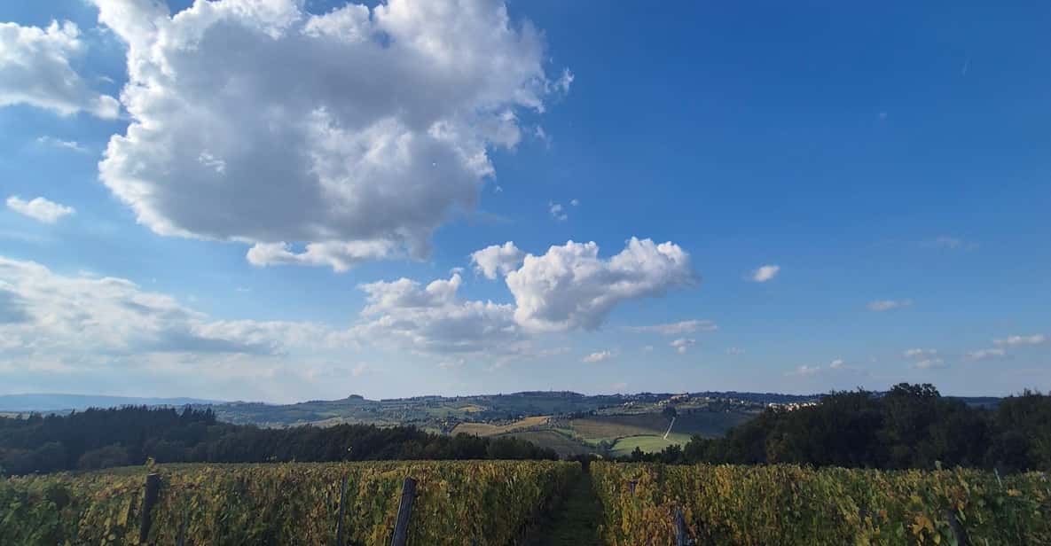 Chianti: Vineyard to Bottle Winery Visit with Tastings - 2026 (Verified ...
