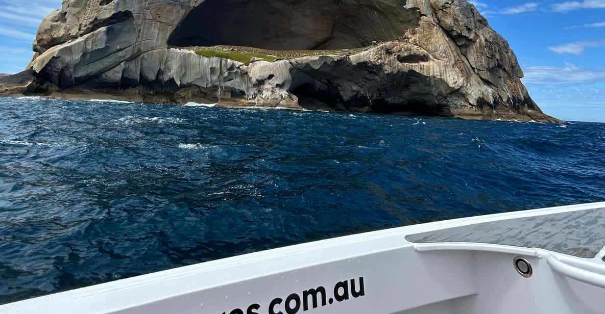 Melbourne: Wilsons Promontory Morning Wilderness Cruise | GetYourGuide