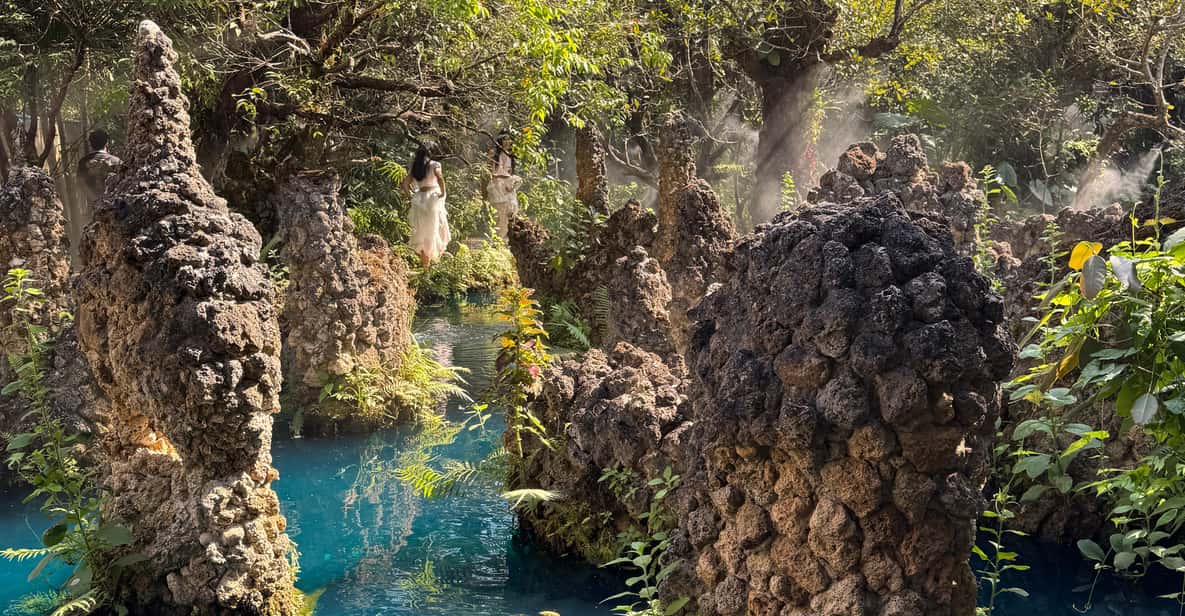 Chiang Mai: Dantewada ,Wat Ban Den Temple & Cafe Elephant | GetYourGuide