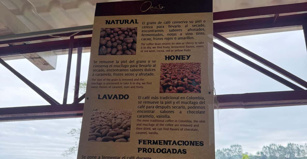 Coffee Farm Tour at Finca El Ocaso from Salento | GetYourGuide