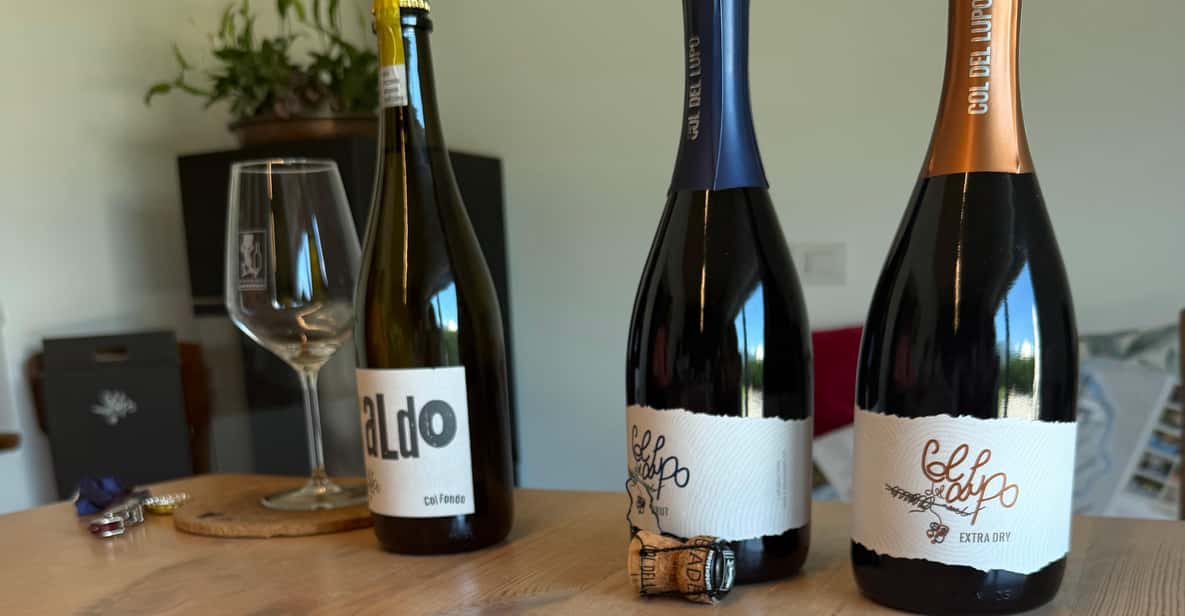 Wine tour from Venice to Prosecco Hills in small-group - From $173