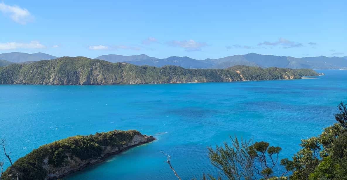 Motuara Island Sanctuary: Wildlife & Dolphin Watching Tour | GetYourGuide