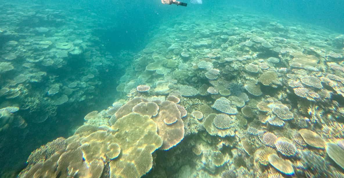 石垣島：幻の島でボートシュノーケリングツアー | GetYourGuide