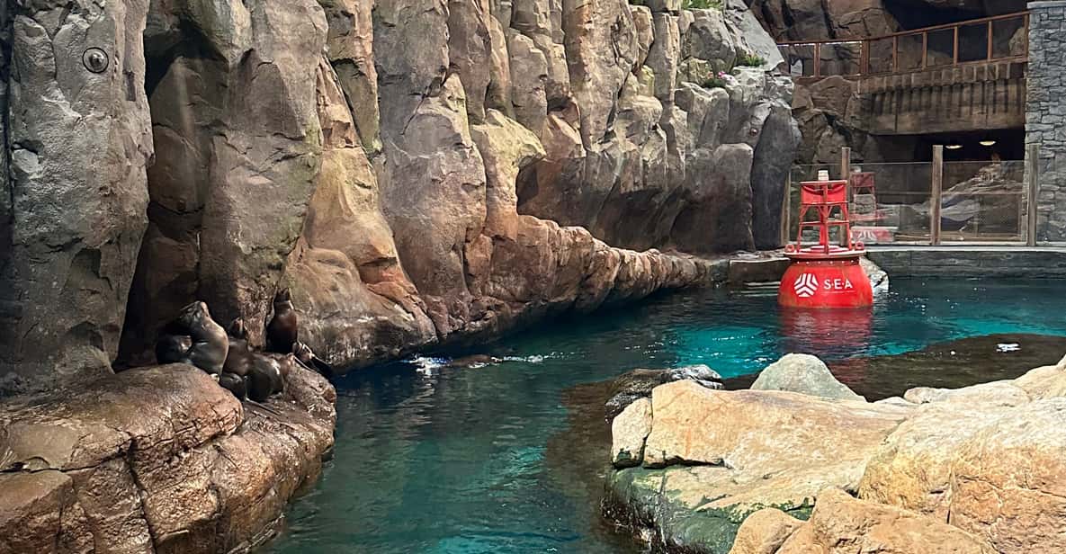 Abu Dhabi: SeaWorld Entry Ticket with Free Shuttle | GetYourGuide