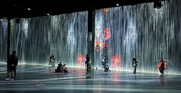 Miami: 'Superblue Miami' Immersive Art Experience Ticket | GetYourGuide