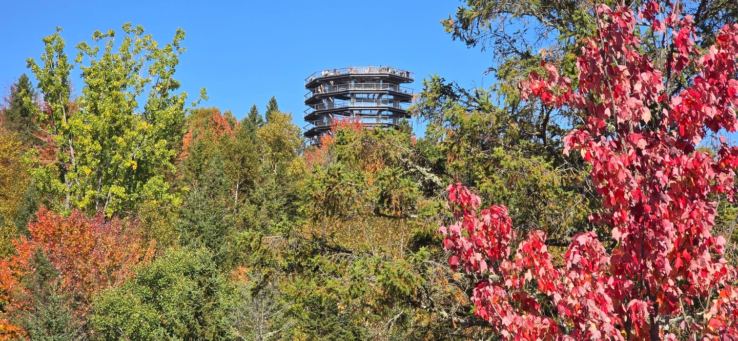 Treetop Walk, Easy Hiking Trail Laurentians | Mont-Tremblant Activity ...