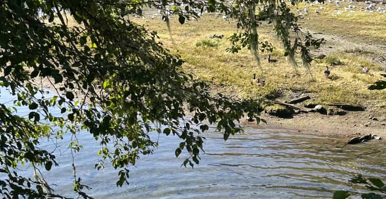 Ketchikan: Totem Pole, Wildlife & City Trolley Tour | GetYourGuide